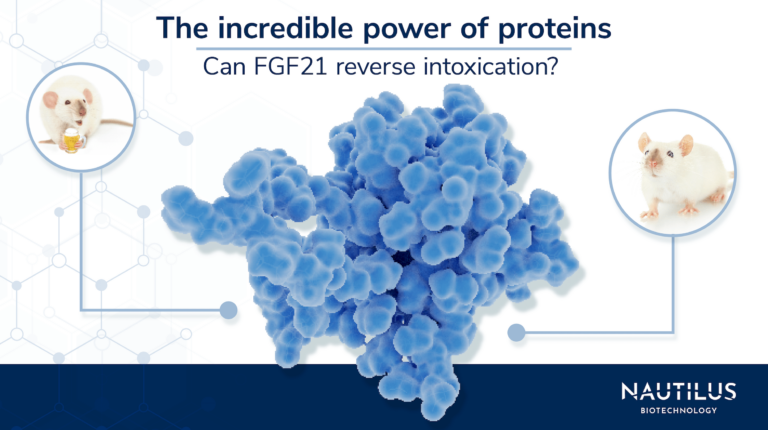 The incredible power of proteins: How the FGF21 protein helps mice ...