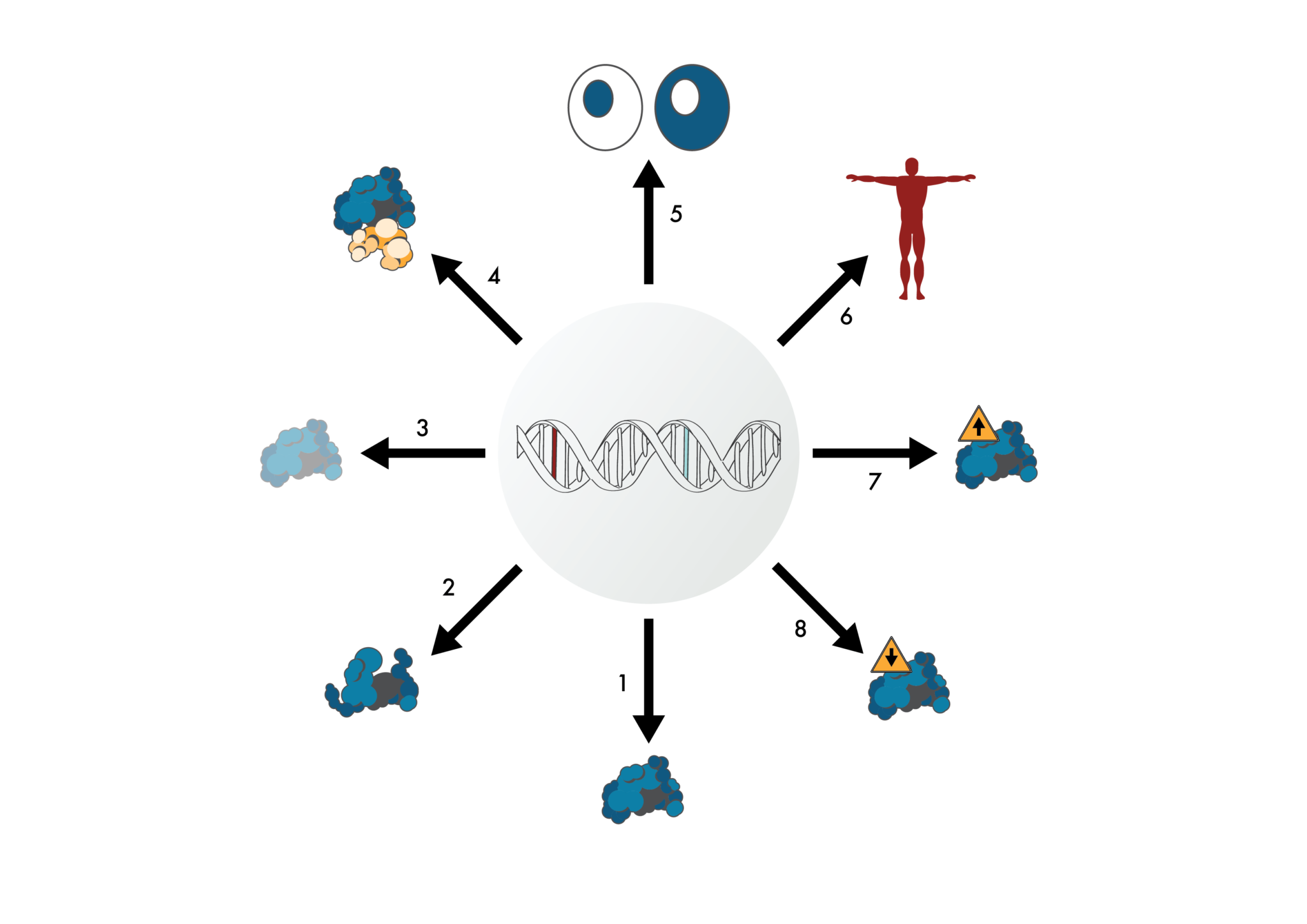 Unlocking the complexity of proteins to fuel precision medicine (Part 1 ...