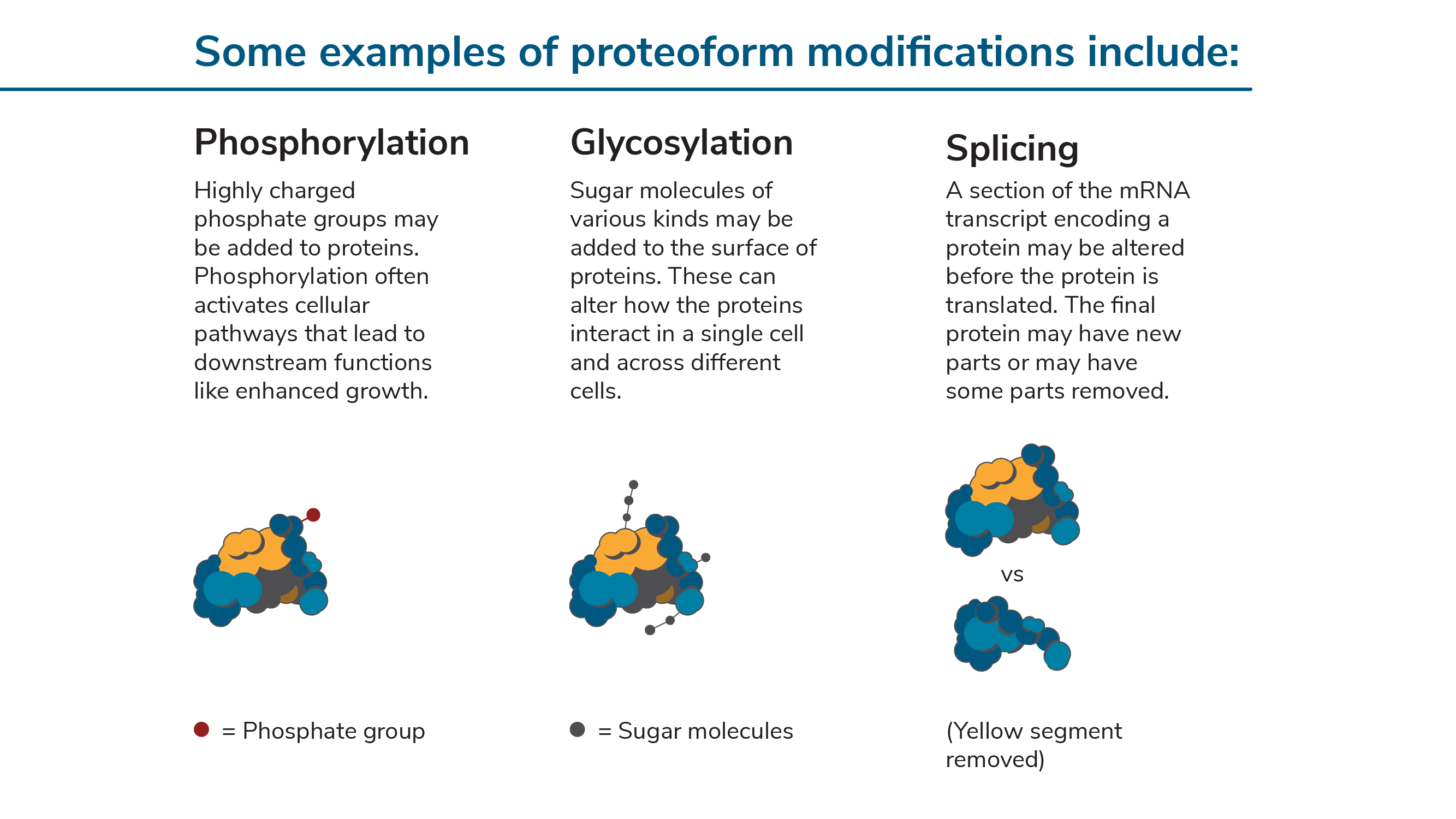 Accelerating basic research with proteomics (Part 2) ~ Nautilus ...
