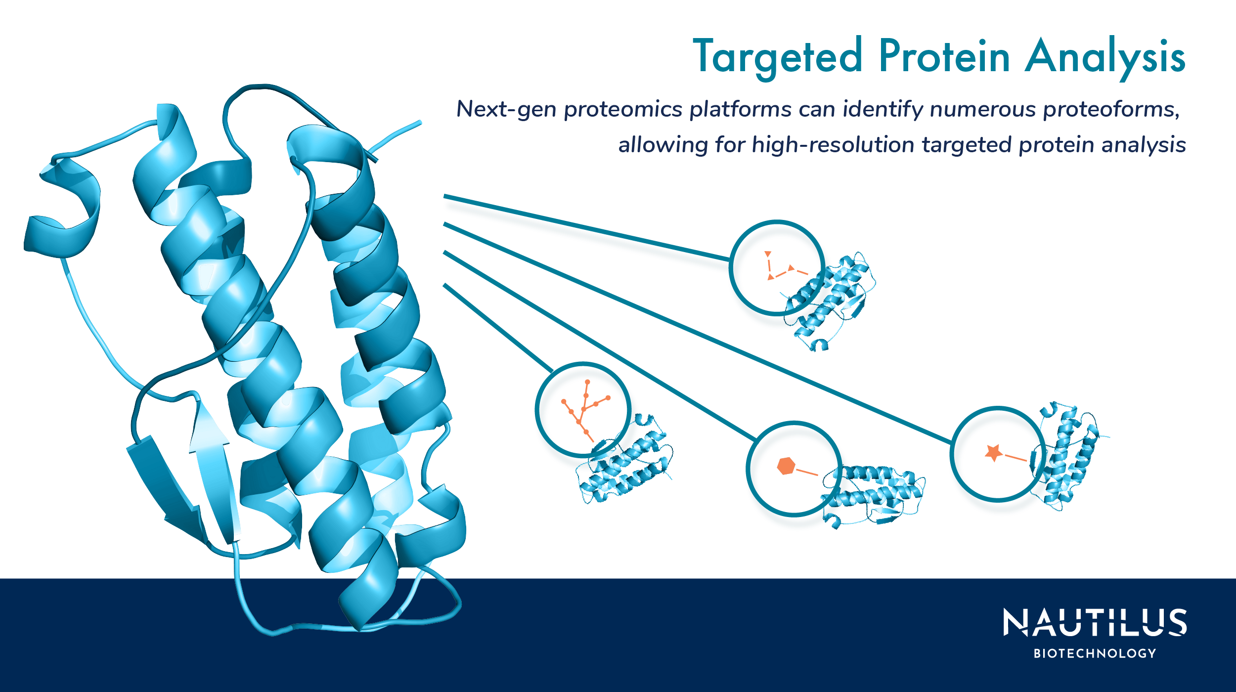 How targeted proteomics and targeted protein analyses are changing ...