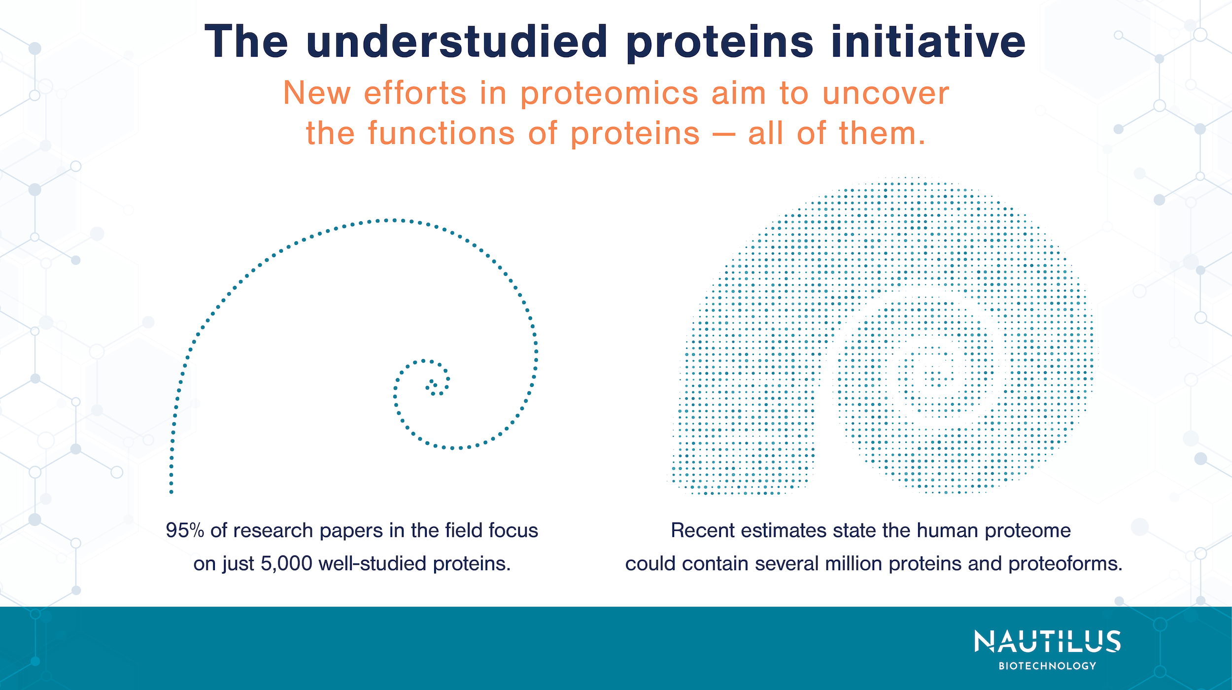 Functions Of Proteins Protein Structure And Function – An