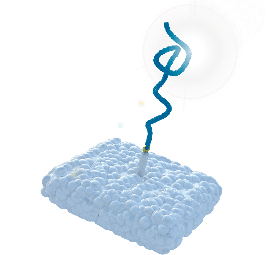 Platform ~ Nautilus Biotechnology