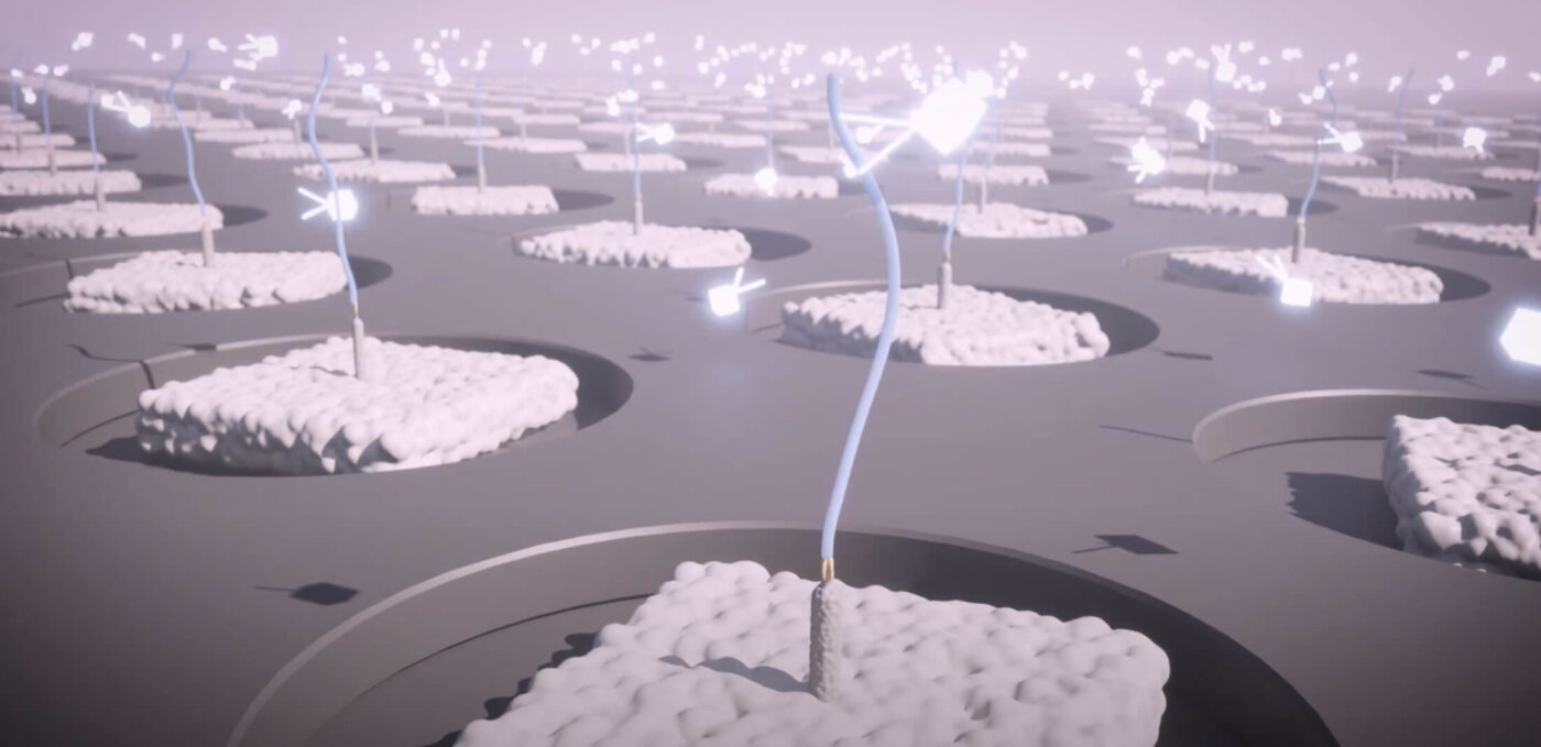 Platform ~ Nautilus Biotechnology