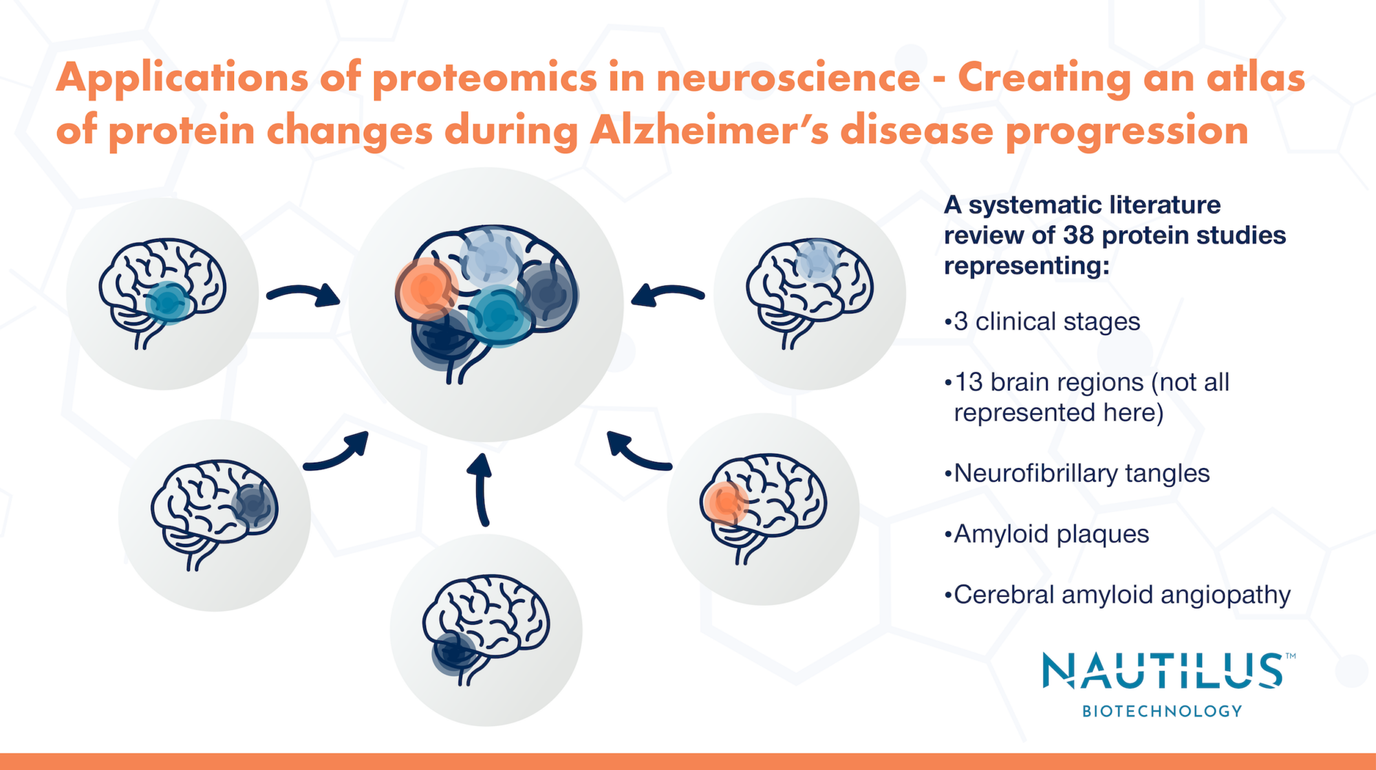Mapping the Alzheimer’s proteome - Applications of proteomics in ...