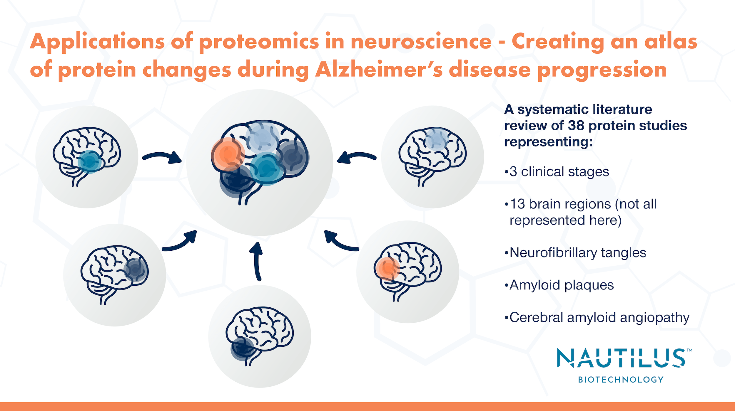 Mapping the Alzheimer’s proteome - Applications of proteomics in ...