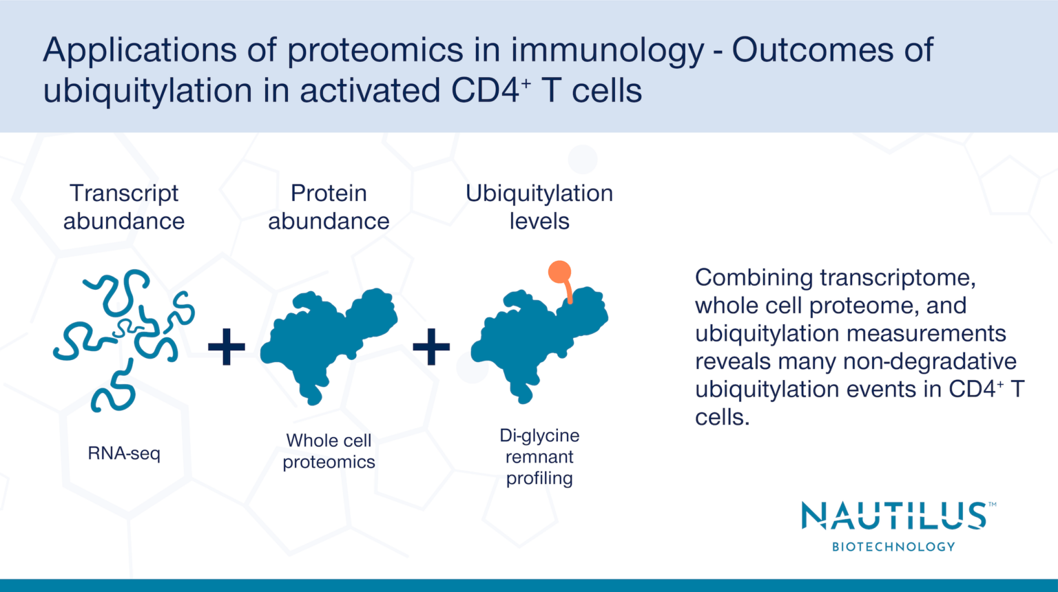Applications of proteomics in immunology - Outcomes of ubiquitylation ...