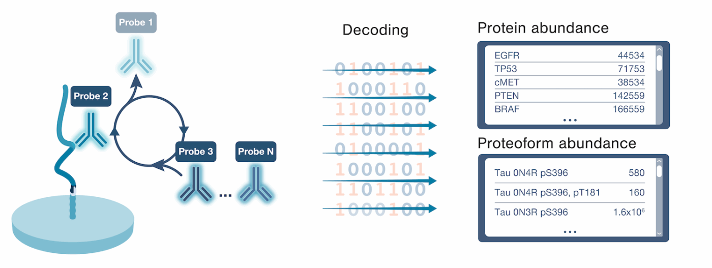 Iterative Mapping FAQ ~ Nautilus Biotechnology