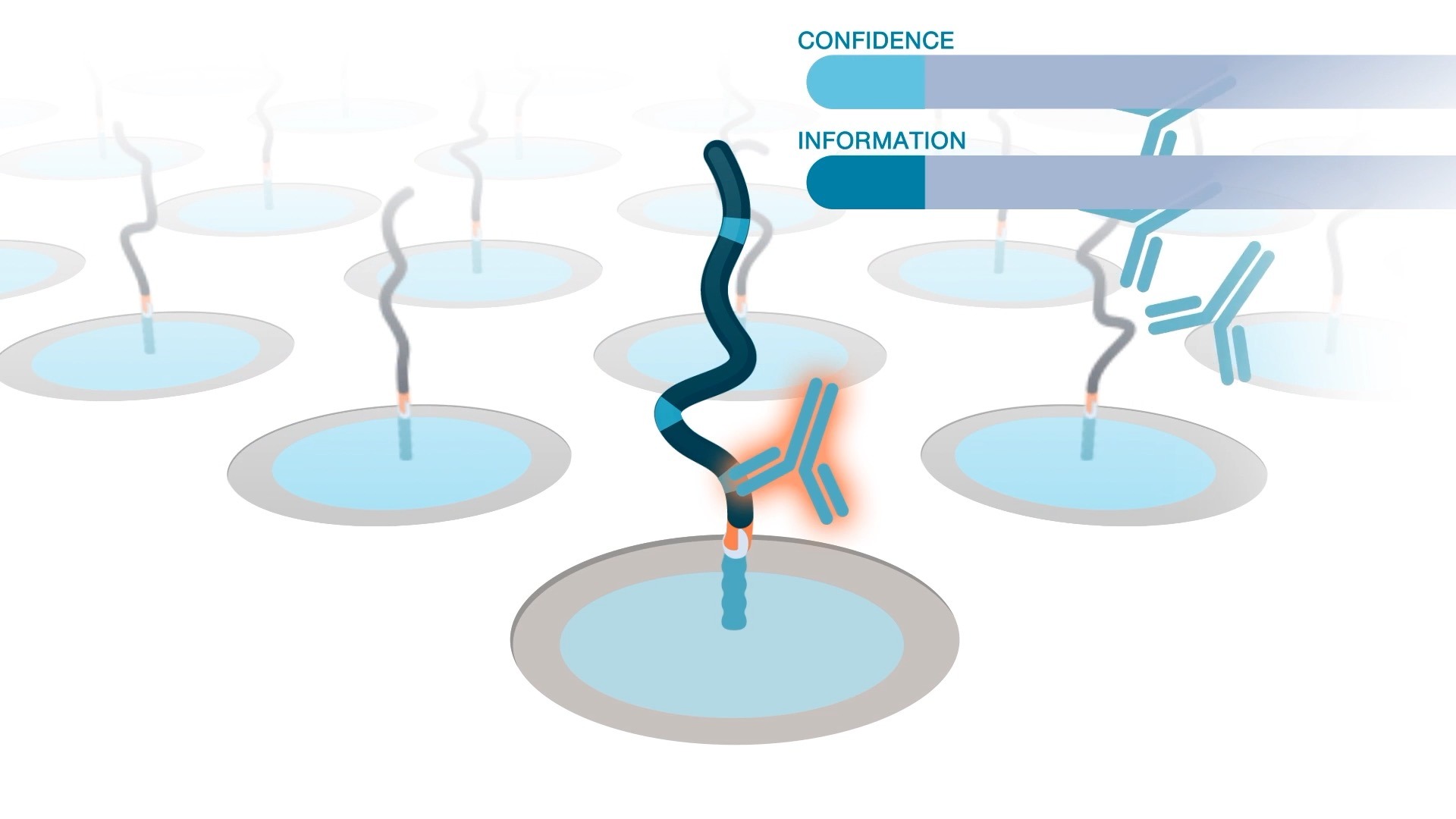 Quantifying proteins and proteoforms with Iterative Mapping on the ...